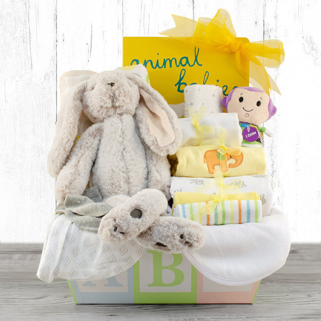 Baby Gift Set – MomCoSprout